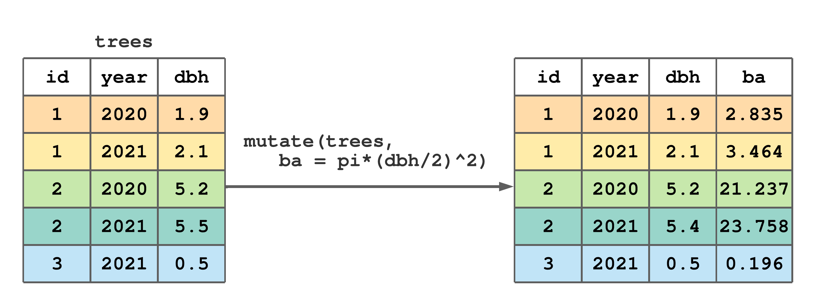The Big Lab: Forest Inventory Workflows and Review