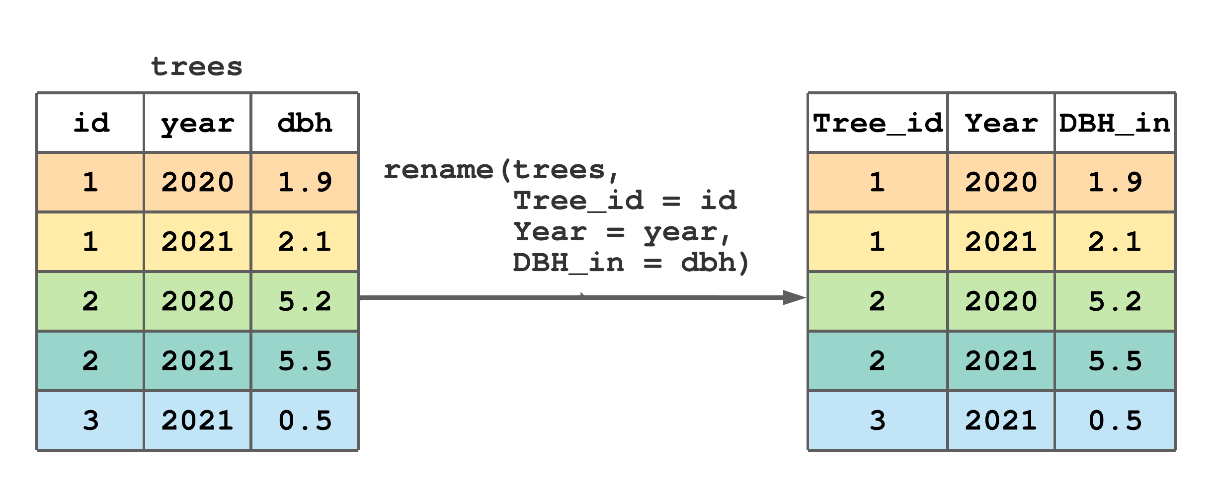 The Big Lab: Forest Inventory Workflows and Review